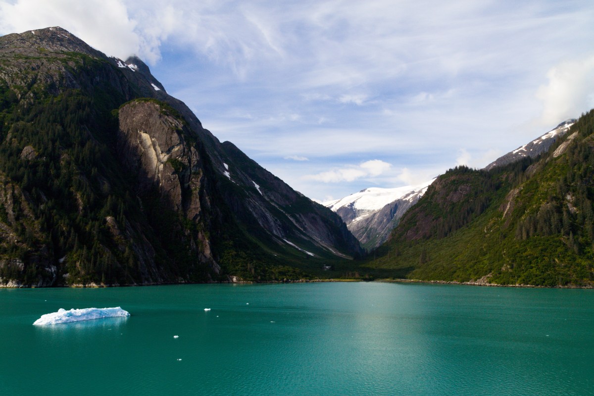 Alaskan Inside Passage Cruise Gallery – The Taylors Travel